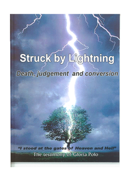 Struck By Lightning Book